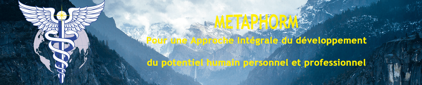 logo-et-texte-avec-arrière-plan - Metaphorm